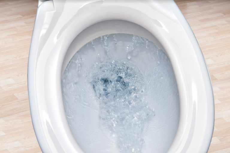 Why Is My Toilet Noisy When I Flush? | Loud Toilet Problems